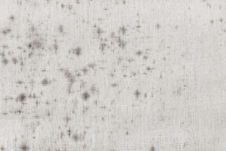 Preventing and Treating Mold on Artist Materials | Comprehensive Guide ...
